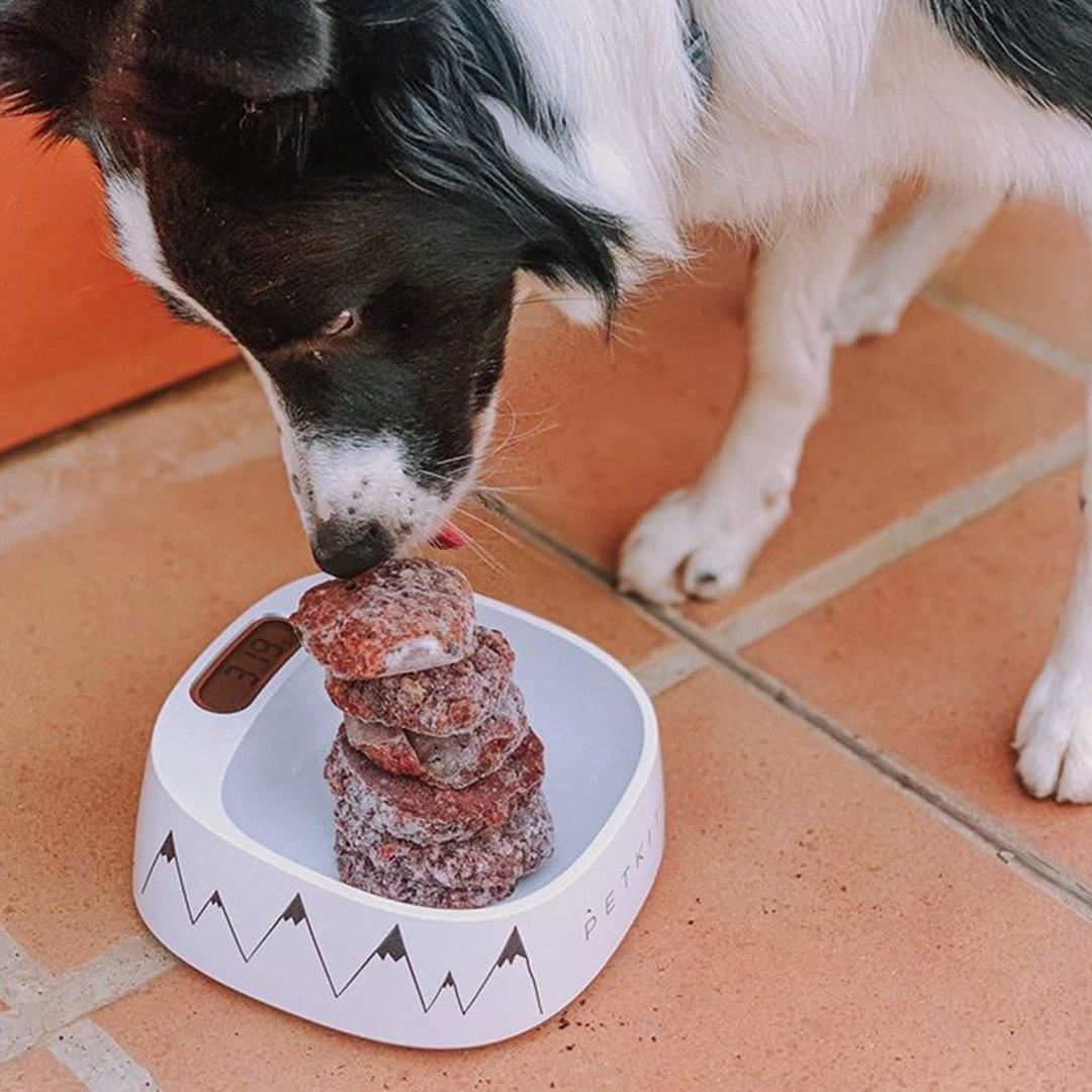 Menu Pollo BARF Para Perros - 5.0 Kg - Comprar dieta Barf preparada ...